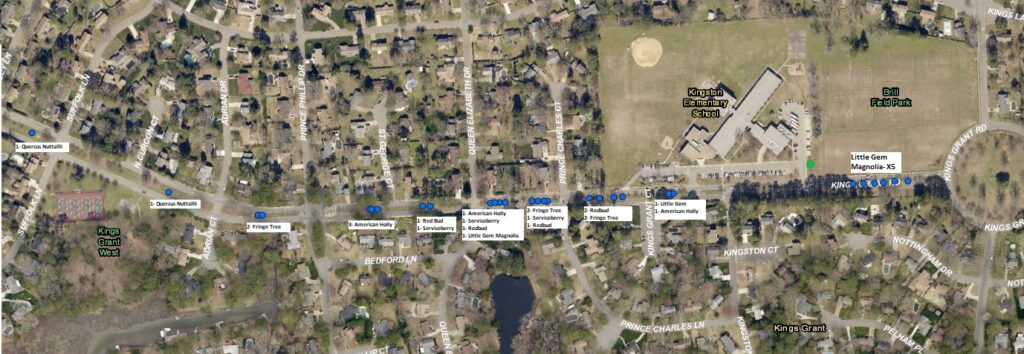 Tree Replacement Project – King’s Grant Road – KGCL.org